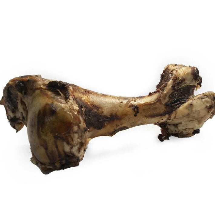 Tugg & Hundgodis till hundar - Naturligt & noga utvalt – Hundben.se